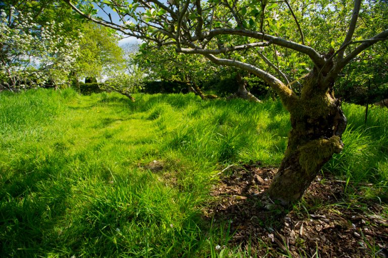 irara – www.irara.org.uk